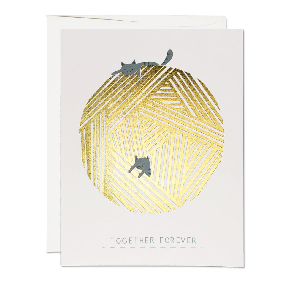 String Cats Card – Dots & Loops