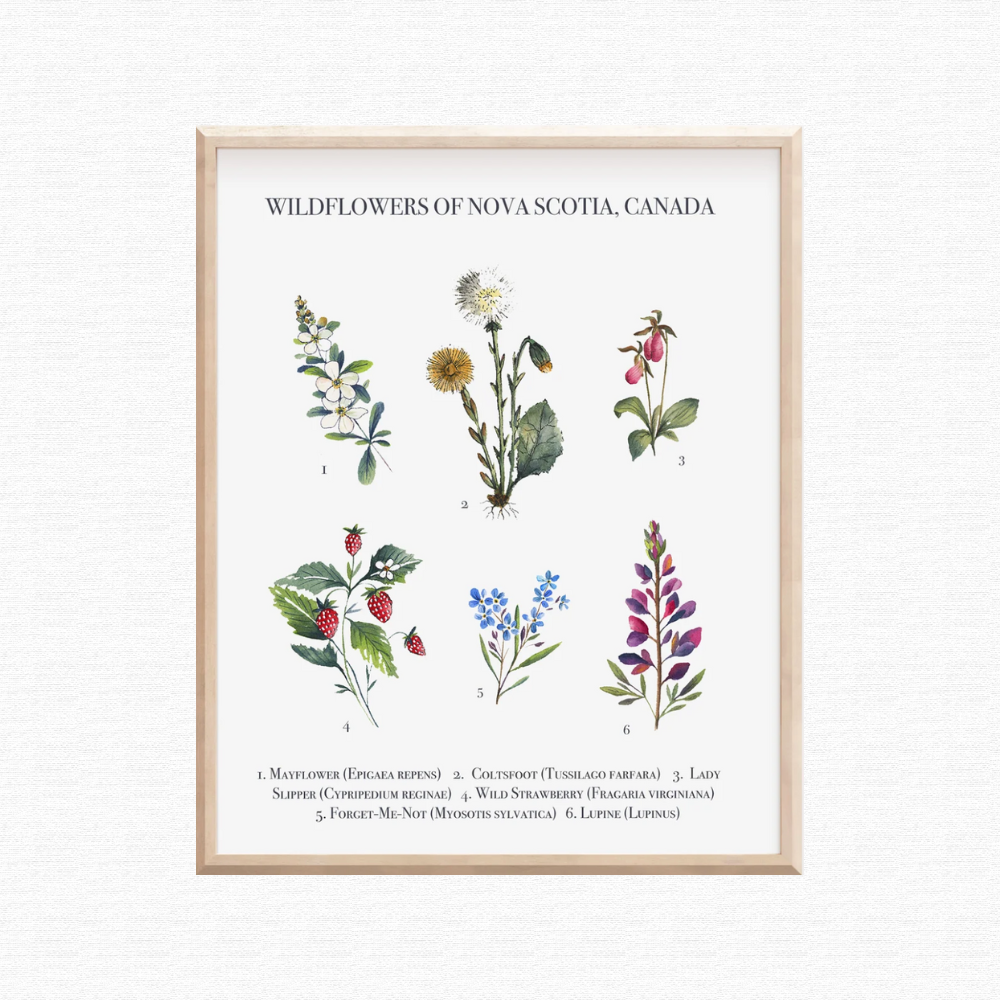 Nova Scotia Florals Print – Dots & Loops